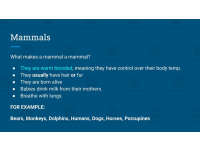 Classifying Animals Lesson Plan & Slides by Teach Simple