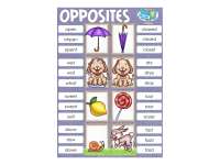 Clip Cards - Opposites including spelling and vocabulary by Teach Simple