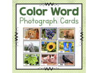 Color Word Photo Cards | Learning Colors | Preschool Worksheets by ...