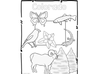 Colorado State Symbols Clip Art by Teach Simple