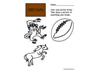 Coloring Brown Pictures Worksheet by Teach Simple