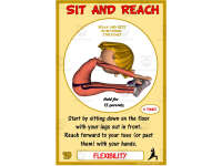 Components of Fitness Series: Flexibility Task Cards by Teach Simple