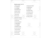 Covalent Nomenclature: ESL Korean Version by Teach Simple