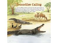 Crocodiles eBook - Know-It-Alls! by Teach Simple