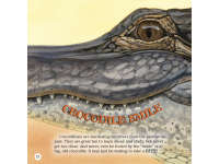 Crocodiles eBook - Know-It-Alls! by Teach Simple