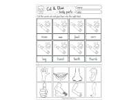 Cut & Glue: Body Parts by Teach Simple