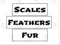 Cut and Paste: Animal Coverings - by Teach Simple