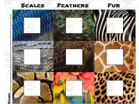 Cut and Paste: Animal Coverings - by Teach Simple