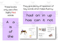 CVC Decodable Reading Books with a Short Vowel Sound with Workbooks by ...