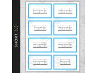 CVCC Words Tracing Flashcards: Short Vowels (A E I O U), CVCC Words ...