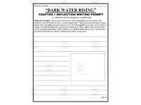 Dark Water Rising Novel Study Unit by Teach Simple