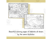 Desert Habitat Coloring Pages | Line Art Templates | Biome Art Project ...