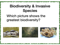 Digital Boom Card Deck: Biodiversity and Invasive Species by Teach Simple
