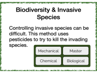 Digital Boom Card Deck: Biodiversity and Invasive Species by Teach Simple