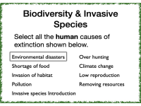 Digital Boom Card Deck: Biodiversity and Invasive Species by Teach Simple