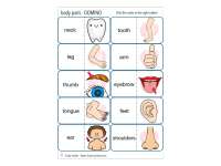 Dominoes: Body Parts by Teach Simple