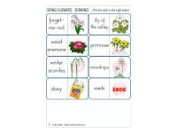 Dominoes: Spring Flowers by Teach Simple