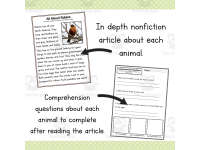 Early Reader Nonfiction Animal Articles: Animal Research Resource by ...
