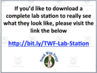 Ecological Succession – Lab Station Activity by Teach Simple