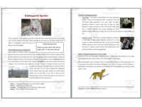 Endangered Species Reading Comprehension Article by Teach Simple