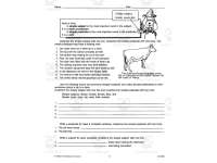 Essential English - Grade 5 by Teach Simple