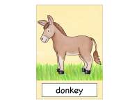 Flash Cards: Animals by Teach Simple