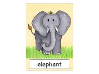 Flash Cards: Animals by Teach Simple