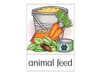 Flash Cards: At the Zoo by Teach Simple