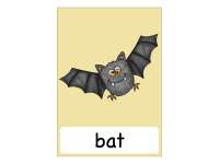 Flash Cards: Halloween by Teach Simple