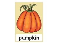 Flash Cards: Halloween by Teach Simple