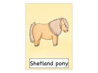 Flash Cards: Scotland by Teach Simple