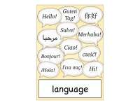 Flash Cards: The Media Then and Now by Teach Simple