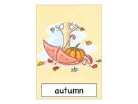 Flash Cards: Weather and Seasons by Teach Simple