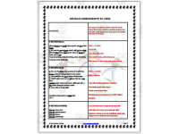 Flash Mob Choreography: "We Are Stars" by Teach Simple