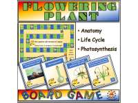 Flowering Plant - Anatomy, Life Cycle and Photosynthesis 54 Question ...