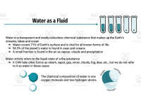 Fluids Unit by Teach Simple
