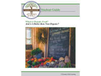 Food and Nutrition Lesson Plan & Worksheets: Organic vs Non-Organic ...