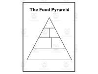 Food Pyramid Worksheet by Teach Simple