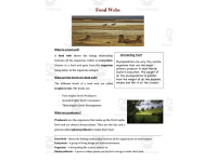 Food Webs - Science Reading Article – Grades 5-7 by Teach Simple