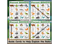 Forest Animals Bingo Game with Both Picture and Kids Yoga Pose Calling ...