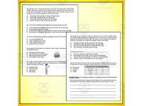 Forms of Energy Unit Assessment by Teach Simple