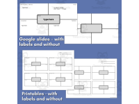 Frayer Model Templates Editable, Digital, & Printable | Vocabulary Set ...