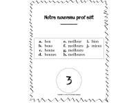 French: Adjectives and Adverbs - Practice Cards by Teach Simple