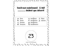 French: Adjectives and Adverbs - Practice Cards by Teach Simple