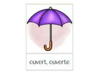 French Flash Cards: Contraires / Opposites by Teach Simple