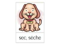 French Flash Cards: Contraires / Opposites by Teach Simple