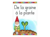 French Flash Cards: Dans Le Jardin / In the Garden by Teach Simple