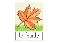 French Flash Cards: L'Automne / Autumn by Teach Simple
