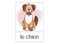 French Flash Cards: Les Animaux Domestiques / Pets by Teach Simple