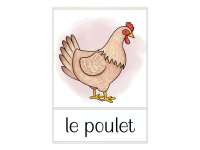 French Flash Cards: Les Animaux Domestiques / Pets by Teach Simple